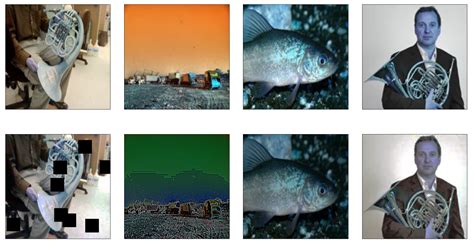 Augmentation Methods Using Albumentations And Pytorch Towards Data