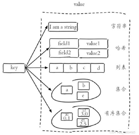 Redis常用数据类型 Csdn博客