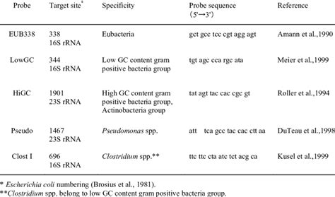 16s And 23s Rrna Oligonucleotide Probes Used For Hybridization Download Table
