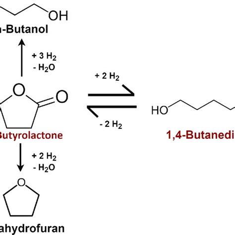 Reaction Scheme Used For The Construction Of The Kinetic Model