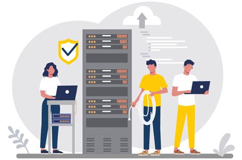 Server Management Service Procain