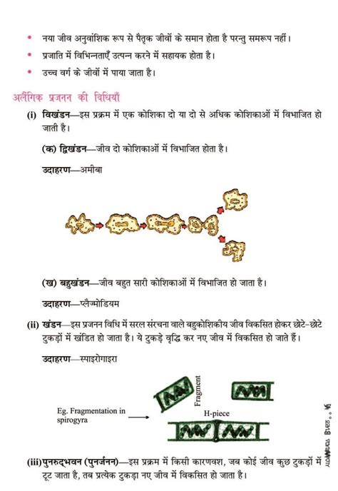How Do Organisms Reproduce Class 10 Notes Pdf जीव जनन कैसे करते हैं के नोट्स All