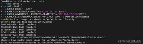 一文搞懂在linux下使用docker快速部署kafka服务linux Docker Kafka Csdn博客