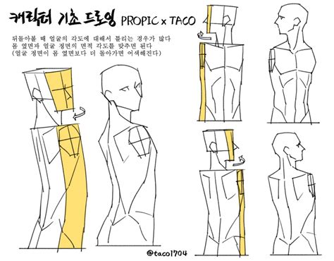 타코작가 On Twitter Anatomy Tutorial Anatomy Reference Body Reference Drawing