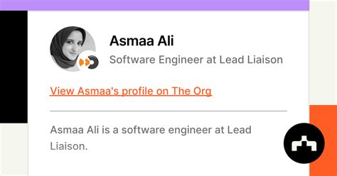 Asmaa Ali Software Engineer At Lead Liaison The Org
