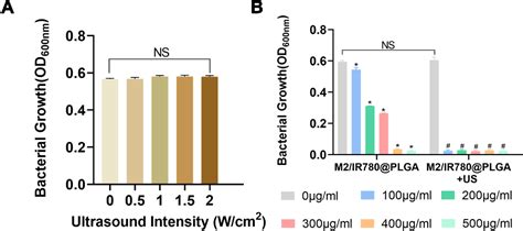 Figure 2 From Multi Modal Imaging Monitored M2 Macrophage Targeting Sono Responsive