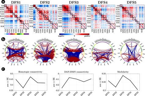 Dynamic Functional States Dfss A Representation Of The 5 Dfss In Download Scientific Diagram