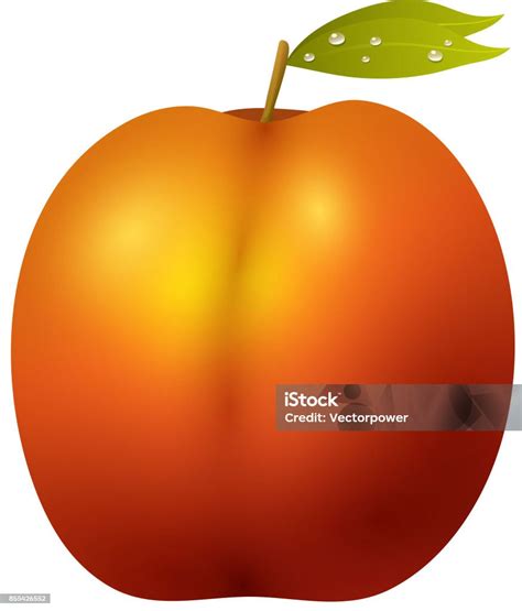 복숭아 과일 현실적인 3d 건강 한 채식 달콤한 익은 벡터 일러스트 레이 션 3차원 형태에 대한 스톡 벡터 아트 및 기타 이미지 3차원 형태 건강한 생활방식 건강한