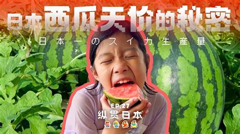 口感不如中国，为何在日本种西瓜如此赚钱？「纵贯日本 27」 Youtube