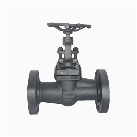 Straight Pattern Globe Valve Tianyu Valve