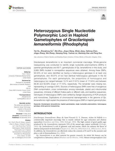 Pdf Heterozygous Single Nucleotide Polymorphic Loci In Haploid Gametophytes Of Gracilariopsis
