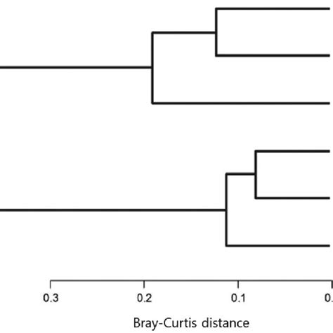 Classification Of Arthropod Communities Collected At Three Different