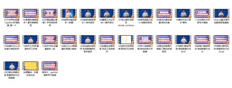 Python实战精讲萌新系统入门 知识麦田