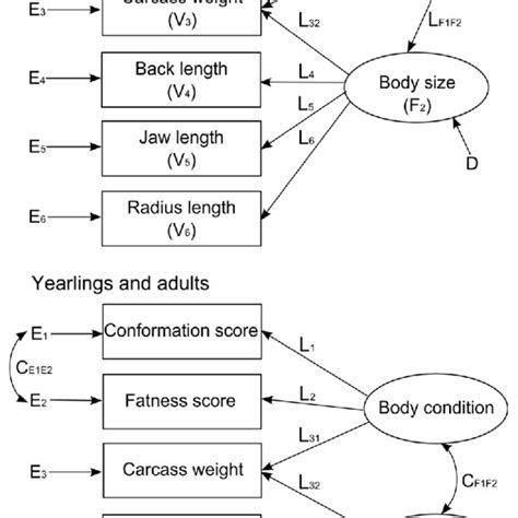 He Initial Sem Model Structure Of The First Sem Analyses Sem I He