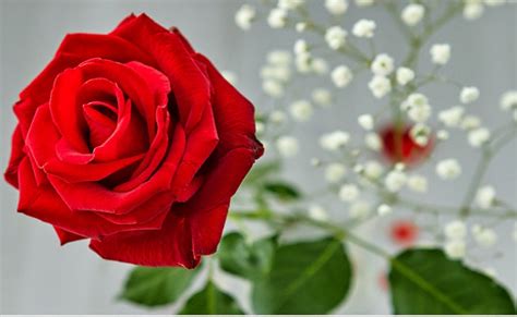 دانلود آهنگ گون ایدین انه جیم از احمد کایا کامل