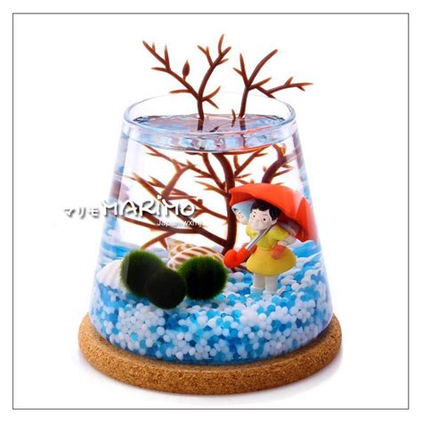 📌update Marimo Set น่ารักๆจ้า📌 🎁มาริโมะ Marimo Set🎁 ขวดโหลแก้วพร้อมแท่น