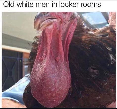 Chimps Executed Sex And Relationships Kenya Talk