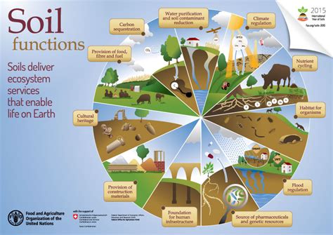 Basics Of Soils And It S Functions