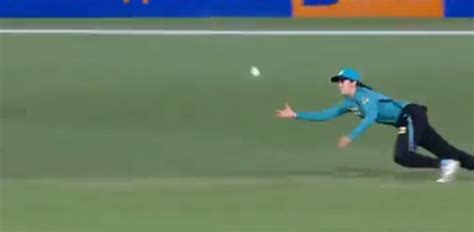 Viral Brisbane Heats Charli Knott Takes Amazing Catch Video