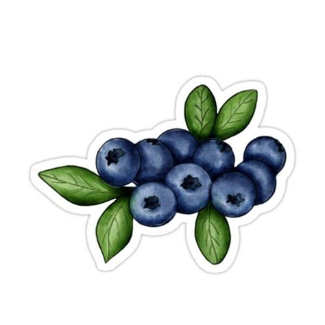 Blueberries Sticker By Sarahschroeder Blueberry Sticker Design Blue
