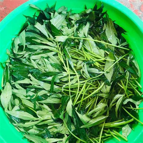 Mapishi Ya Tembele Tanzania