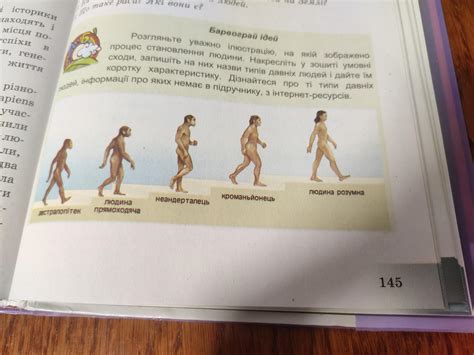 Розгляньте уважну ілюстрацію на якій зображено процес становлення людини накресліть у зошиті
