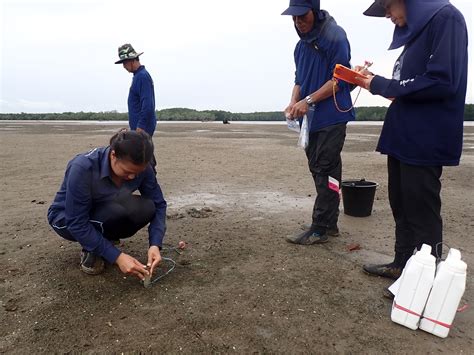 กรมทรัพยากรทางทะเลและชายฝั่ง แหล่งหญ้าทะเลอ่าวบ่อเมาและเกาะเตียบ ชุมพร วันที่ ๒๑ พฤษภาคม