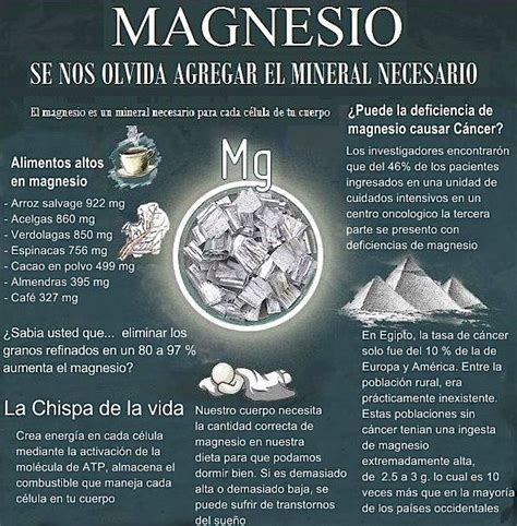 Sintomas En El Cuerpo De Deficiencia De Magnesio Blog De Farmacia