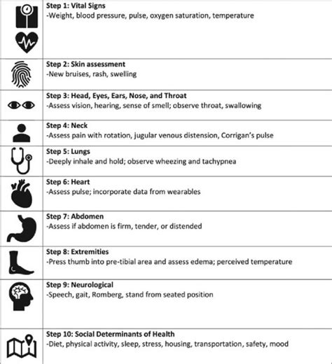 Teaching Strategies For Online Nurse Practitioner Physical Assessment