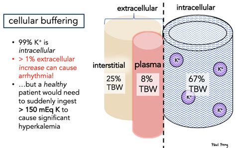 Hyperkalemia Physiology Sinai Em