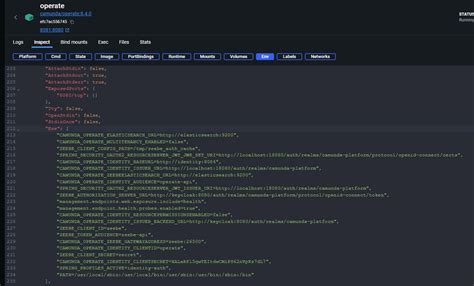 Unable To Call Operate Rest API Using Postman In Self Managed Cluster Discussion Questions