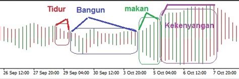 How To Use The Gator Oscillator Indicator Bamsbung Algorithmic Trading