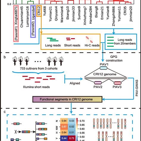 Overview Of This Study A Illustration For Sampling And Sequencing For Download Scientific
