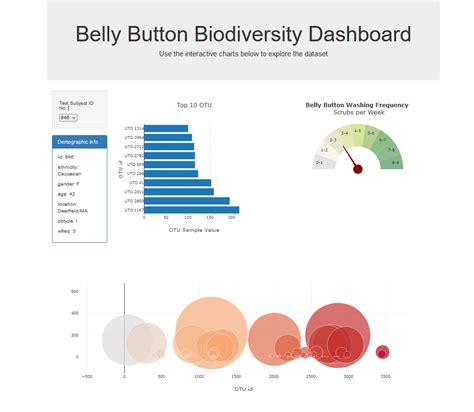 Github Hatimmansor Belly Button Biodiversity Dashboard In This Project I Have Built An