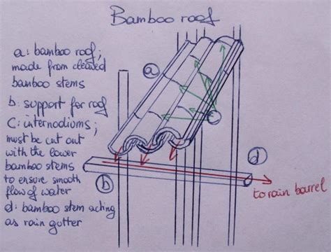 Beautiful Bamboo Creations