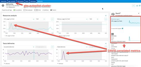 Cloud Native Observability For Gke Autopilot