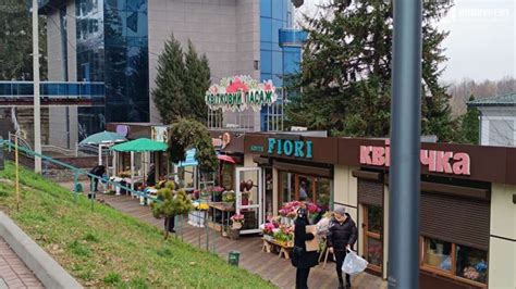 Ціна тюльпанів на 8 березня в Луцьку