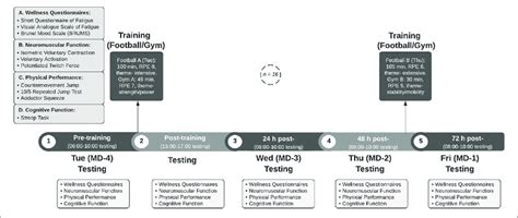 Schematic Of Experimental Testing And Training Protocol Download Scientific Diagram