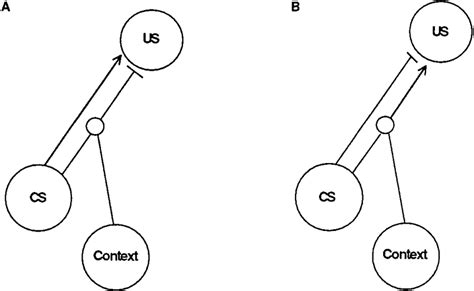 A Model Of Extinction The Conditioned Stimulus Cs Has Two Types Of