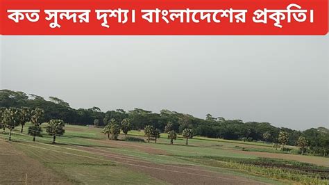 চোখ জুড়িয়ে যায়। কত সুন্দর দৃশ্য। বাংলার প্রকৃতি। Nature Of The Bangladesh Village Of The