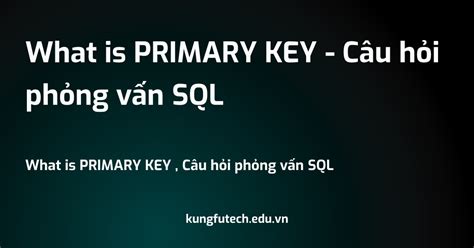 What Is Primary Key Câu Hỏi Phỏng Vấn Sql
