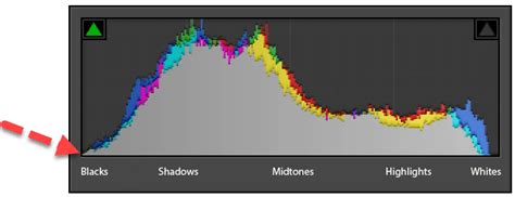 Camera Histogram Roger Chapman Photography