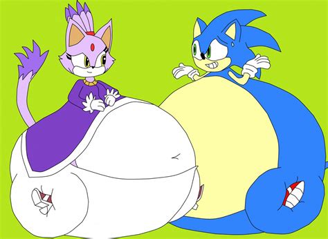 Fat Sonic The Hedgehog