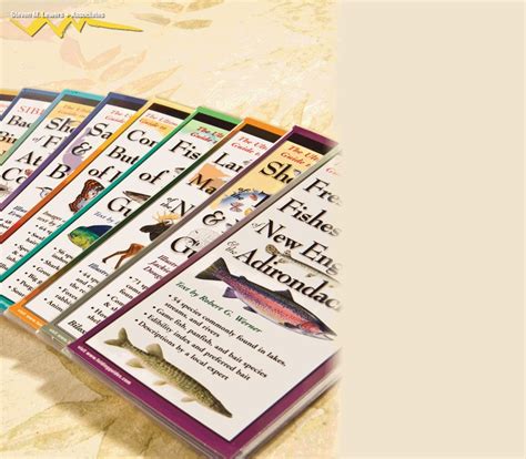 Nature Identification Folding Guides