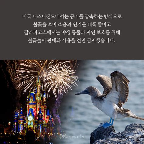 불꽃이 하늘을 수놓고 난 뒤 디어얼스 │ 제로웨이스트 라이프스타일 브랜드 Dearearth