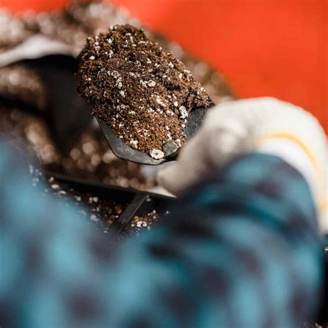 Diy Composting For Beginners Schisandra And Bergamot