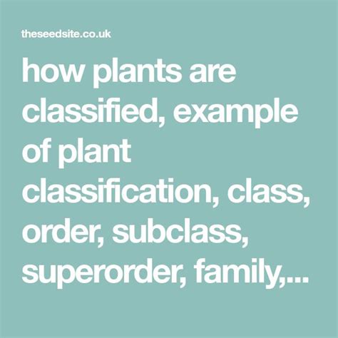 The Words How Plants Are Classified Example Of Plant Class Class Order Subclasss Superorder