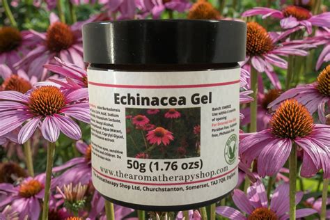Echinacea Herbal Gel The Aromatherapy Shop Ltd