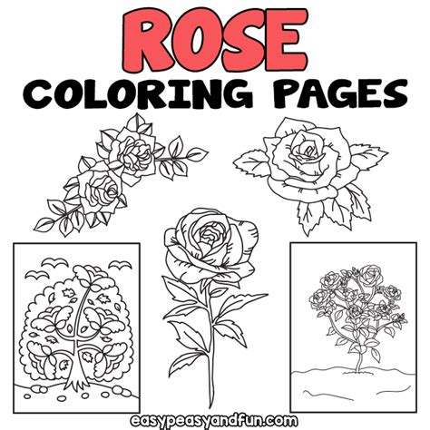 Types Of Flowers Drawing Printable Infoupdate Org