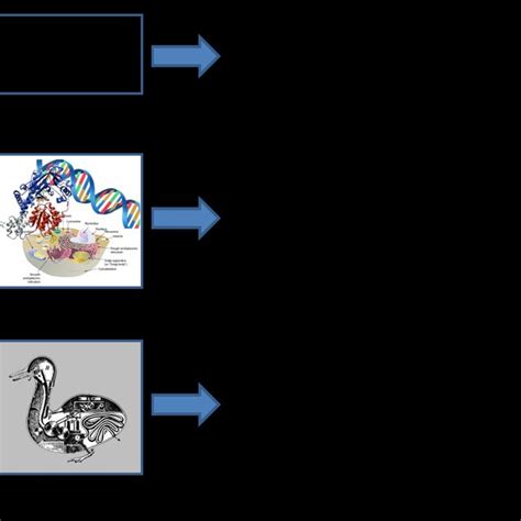2 Three Approaches For Dealing With Complexity In Modelling Biological
